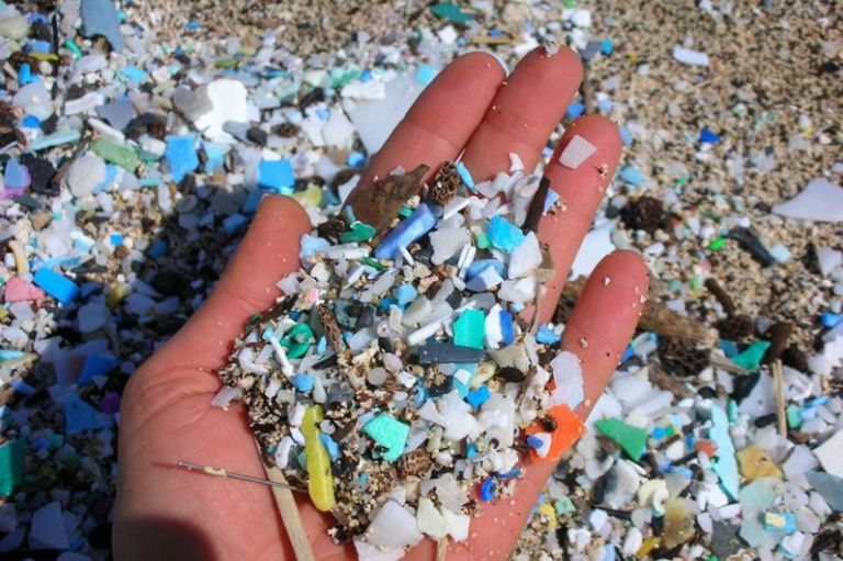El impacto ambiental de los microplásticos en el mar y su interacción ...