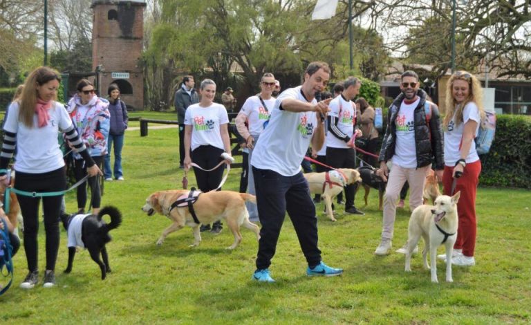 Pet Run Palestra, una pequeña muestra de cómo se pueden lograr grandes ...