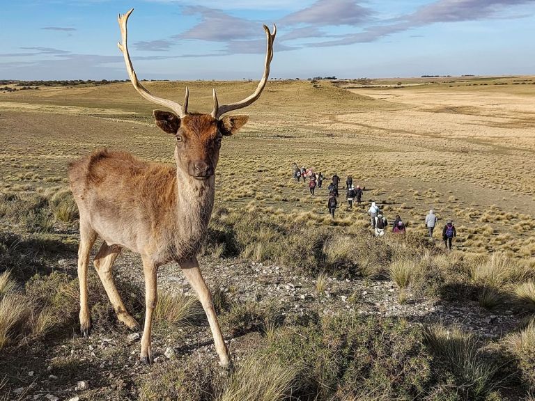 El cruce de FRA-PAL: 7 habitantes y senderos mágicos | Infobrisas ...